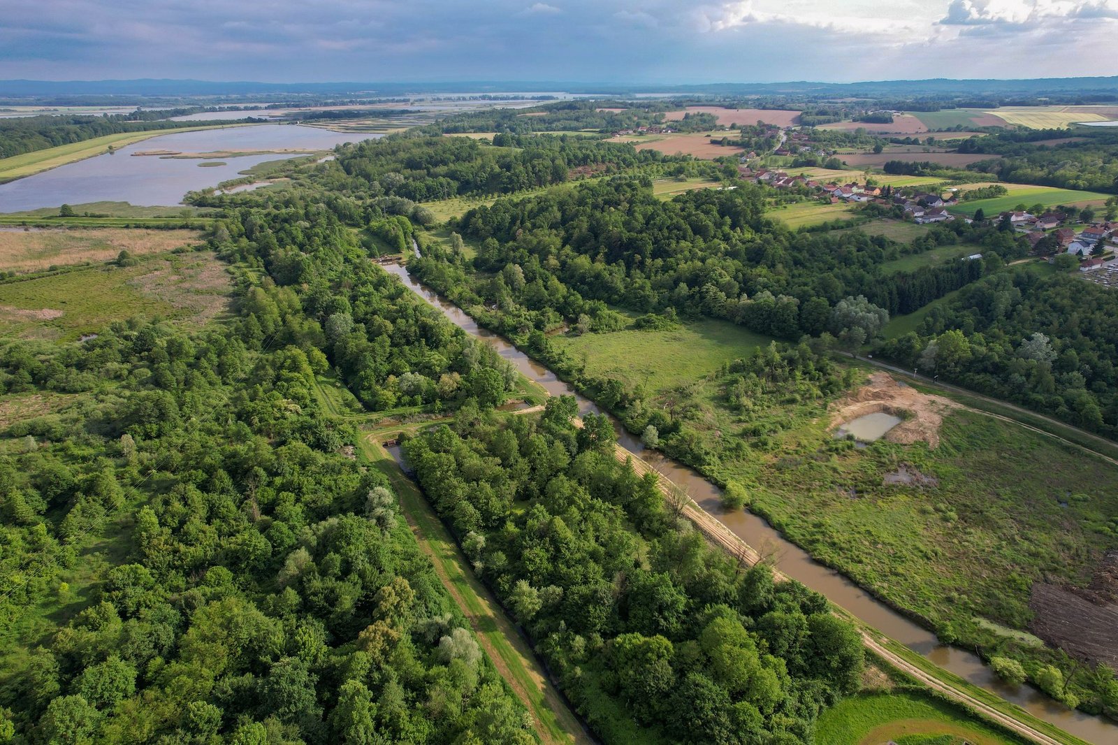Projects - Kingfisher Urban Ecology and Wetlands